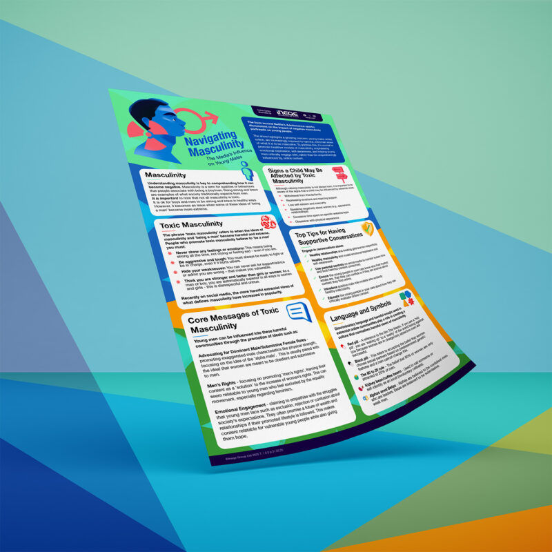 Safeguarding Hub - Ineqe Safeguarding Group